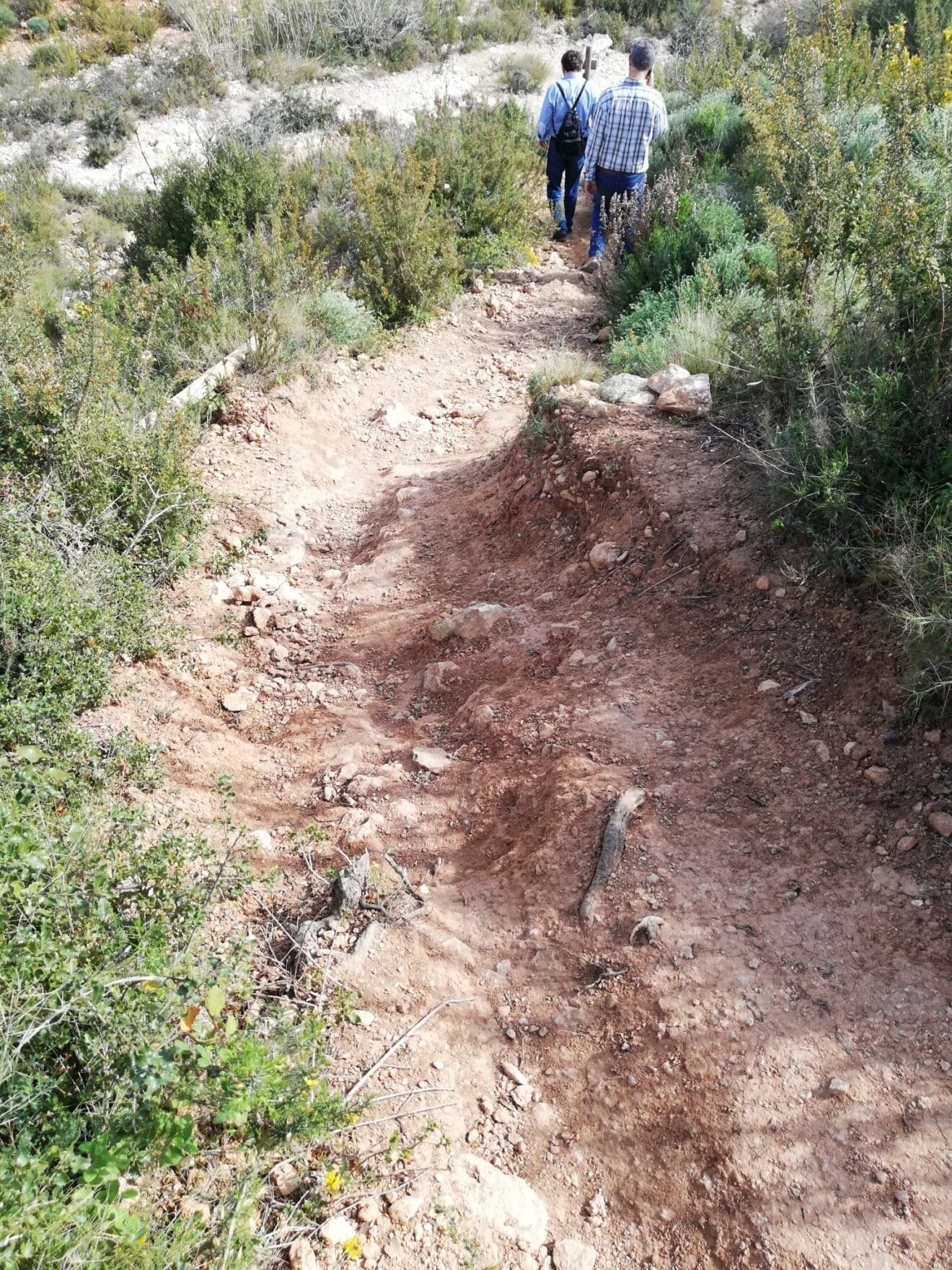 Camins de la Granadella - Jávea.com | Xàbia.com