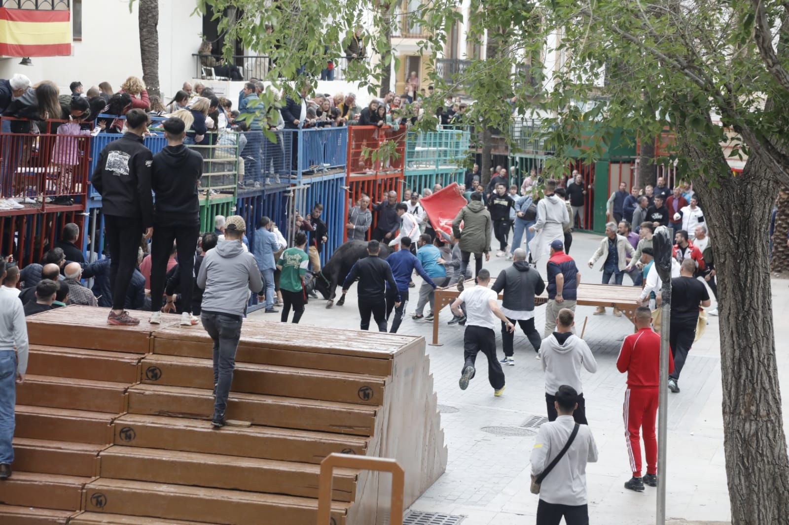 Momento de la embestida de la vaquilla en Xàbia - Jávea.com | Xàbia.com