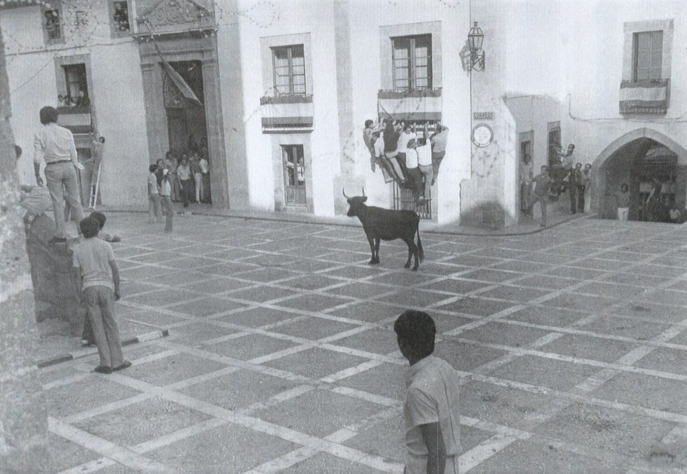 «Els Bous al Carrer sind eine lebendige Tradition, die Generationen ...